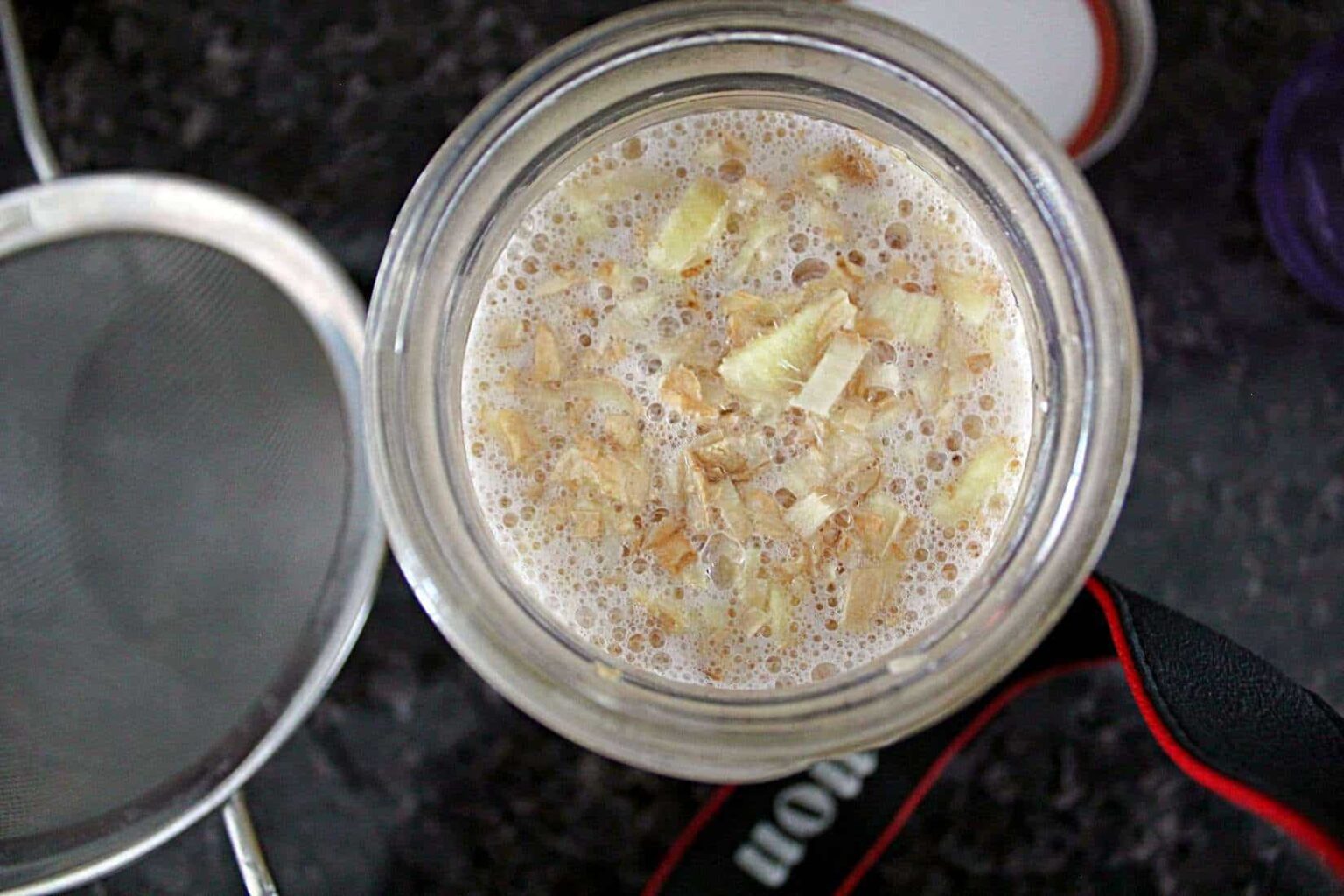 Ginger Bug 101: Everything You Need To Know | crave the good