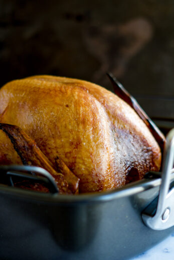 Traeger Smoked Turkey { A Comprehensive Guide } - Crave The Good