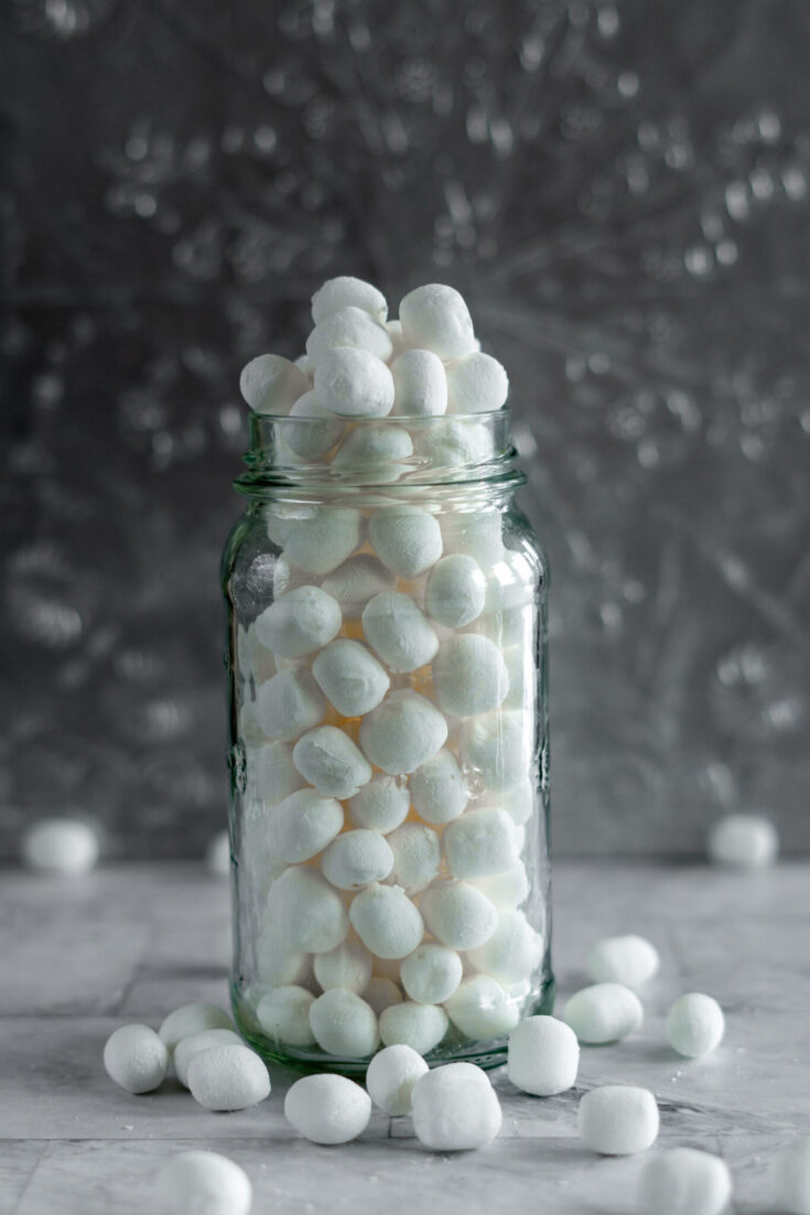 How To: Dehydrate Marshmallows {In Dehydrator + Oven} | crave the good