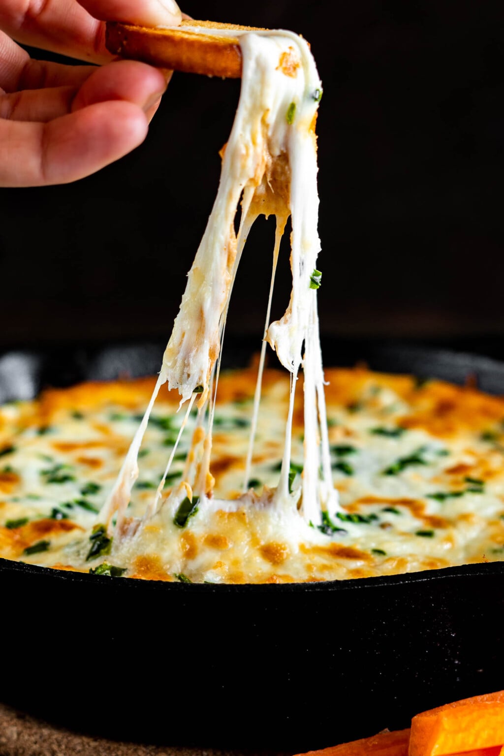 Easy Cheesy Pulled Pork Dip {Use Leftover Pulled Pork!} - Crave The Good