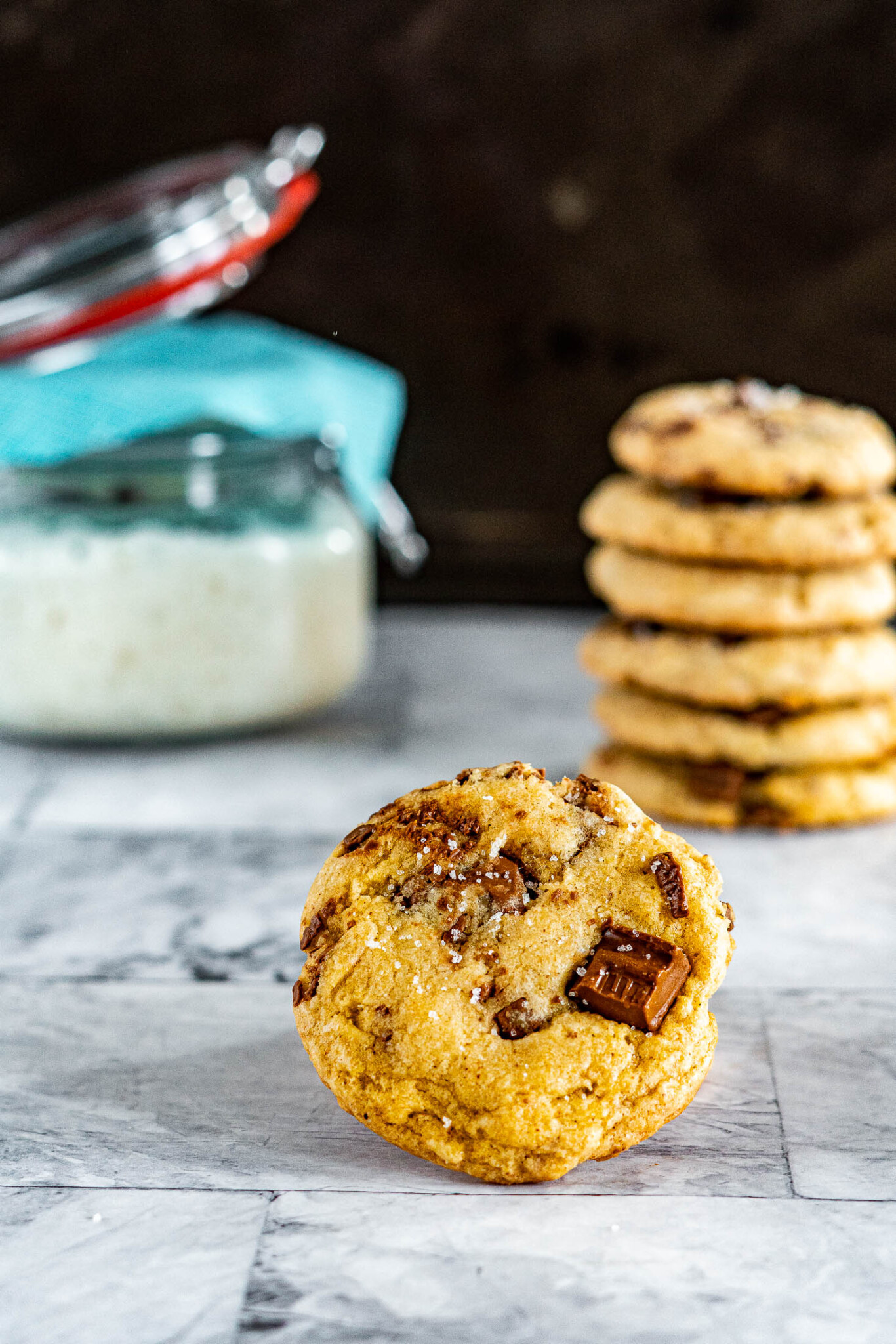 The Sourdough Chocolate Chip Cookies You Gotta Bake!| crave the good