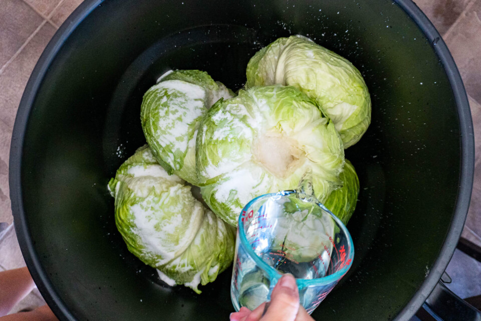 How To: Sour Cabbage For Cabbage Rolls + Sauerkraut - Crave The Good