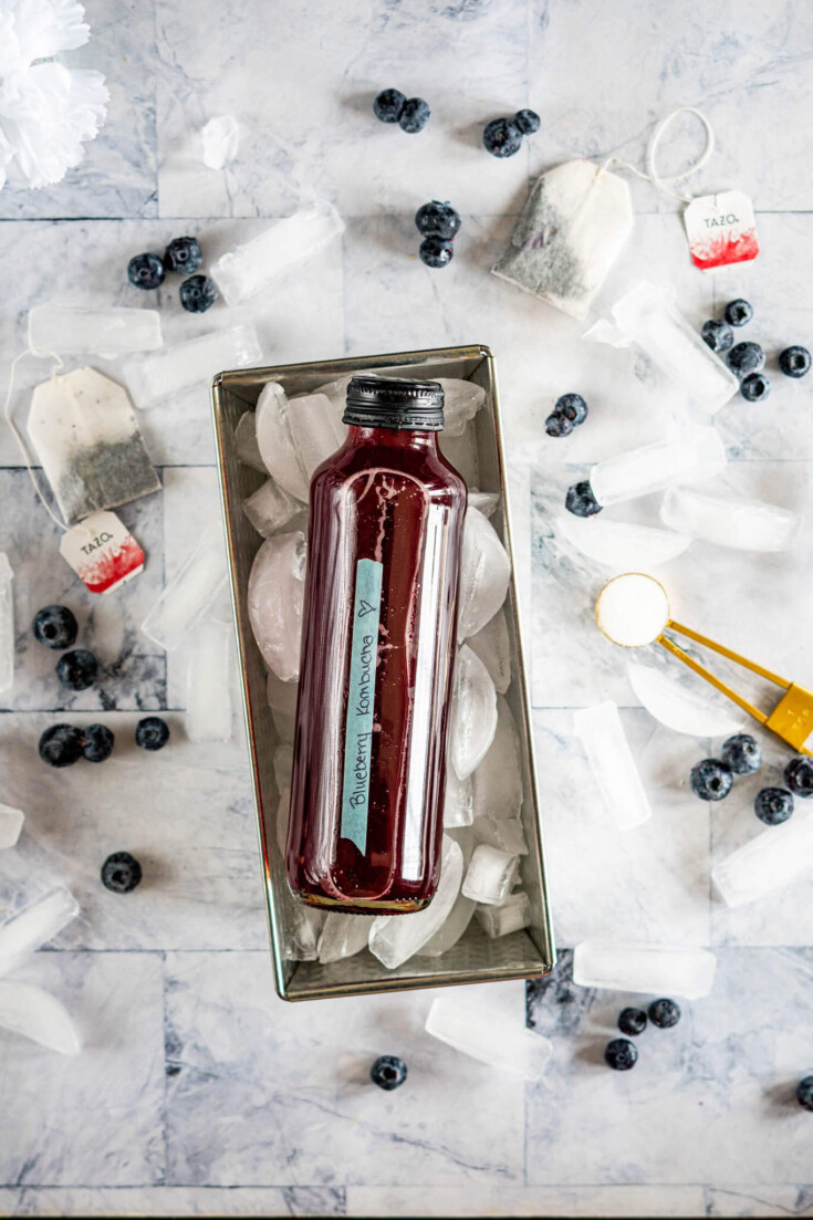 Super Easy Homemade Blueberry Kombucha Recipe - Crave The Good