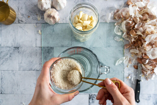 Fermented Garlic { Easy Lacto-Fermentation Recipe }- Crave The Good