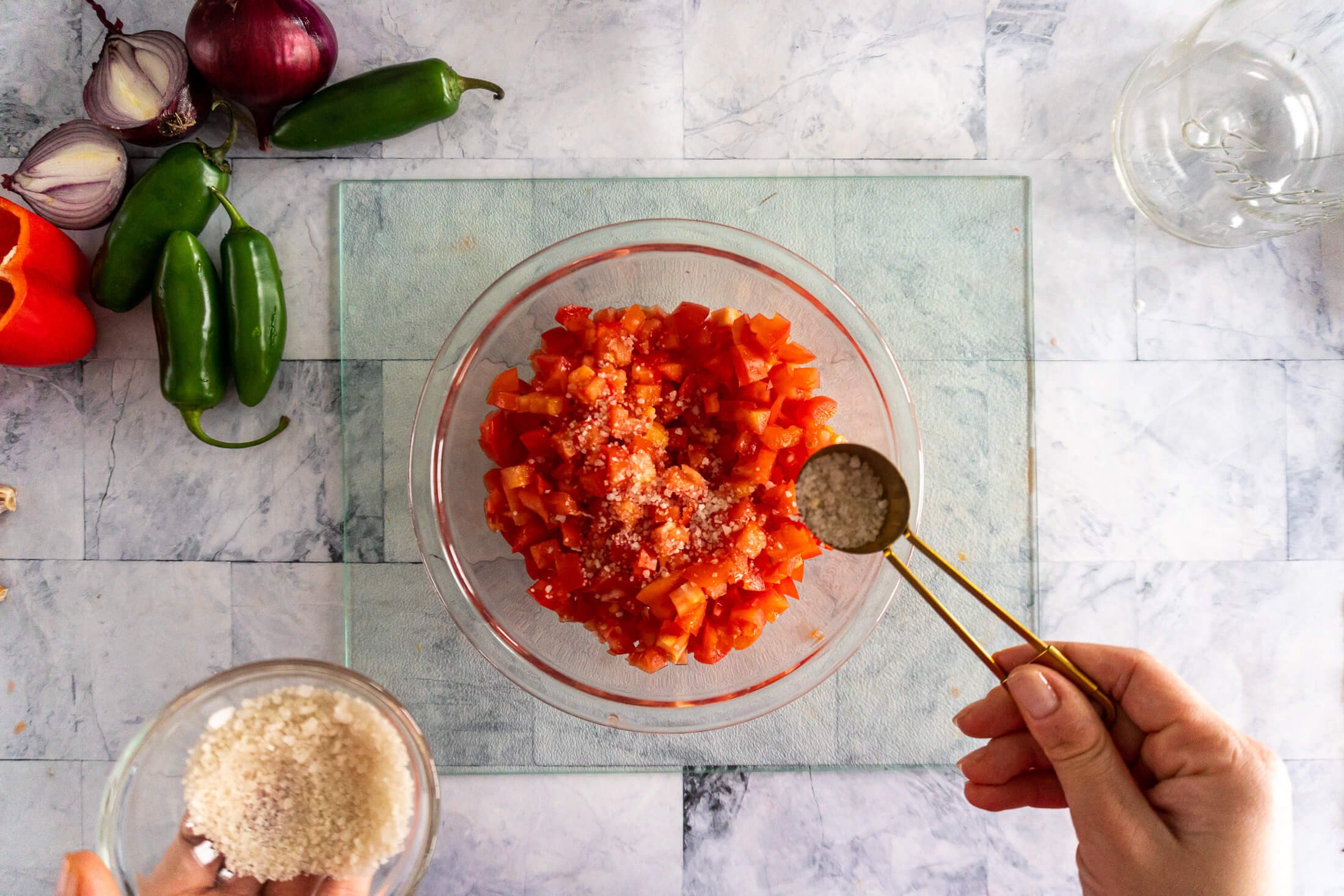 Fermented Salsa {Easy Lacto-Fermentation Recipe} - Crave The Good
