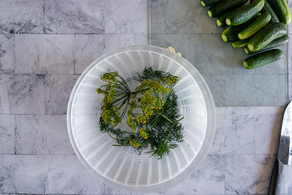 Half Sour Pickles {Easy Recipe With Simple Ingredients} - Crave The Good