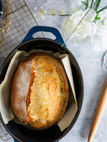 How To: Dehydrate Sourdough Starter - crave the good