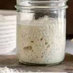 Sourdough Starter Not Rising? - 7 Solutions - crave the good