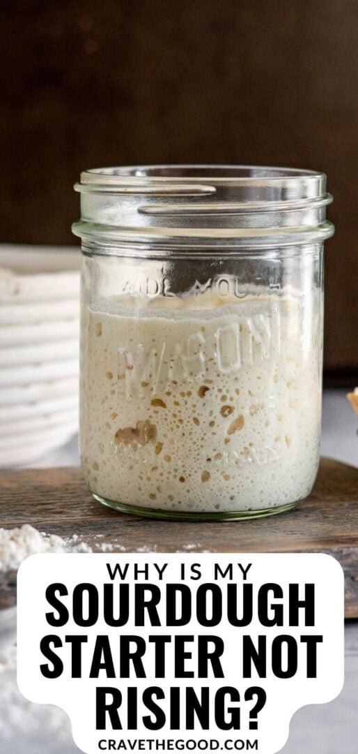 Sourdough Starter Not Rising? - 7 Solutions - Crave The Good