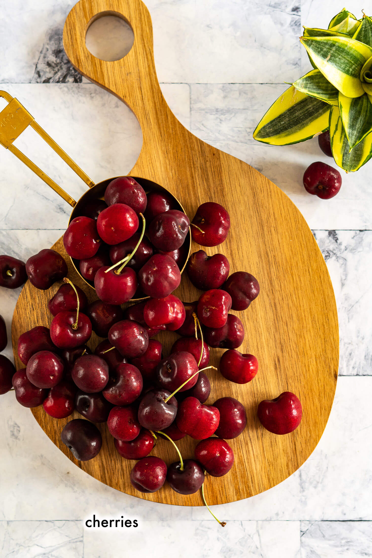 How To: Dehydrate Cherries - Crave The Good