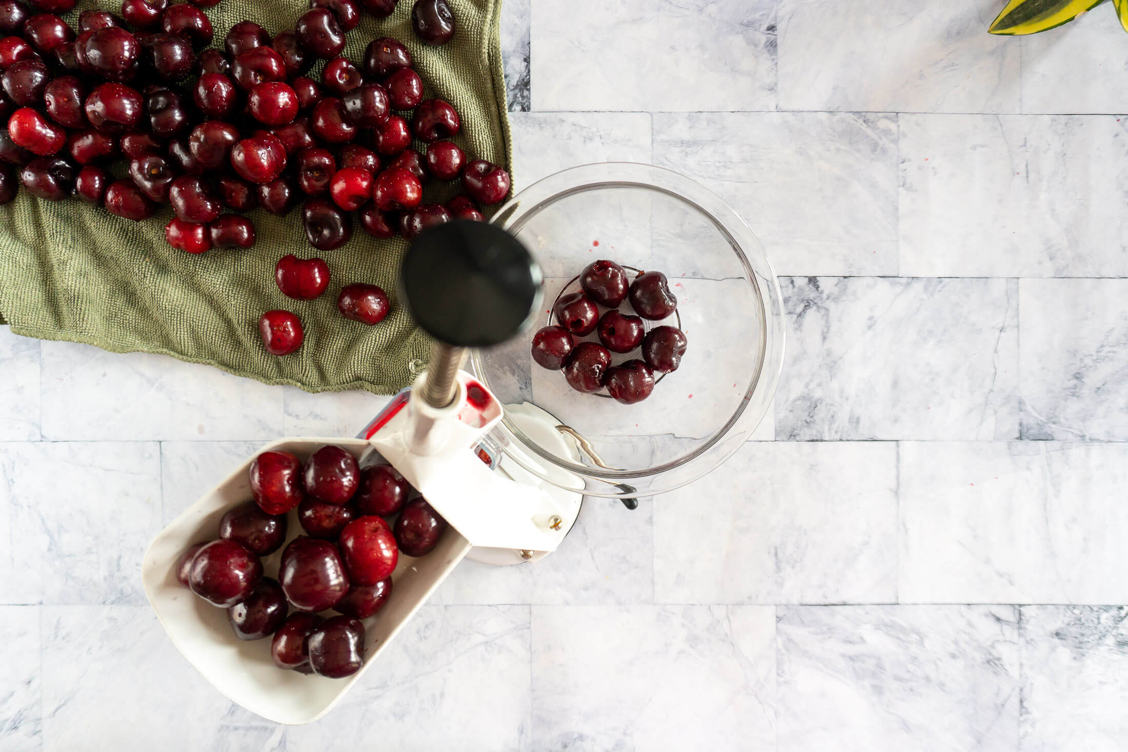 How To: Dehydrate Cherries - crave the good