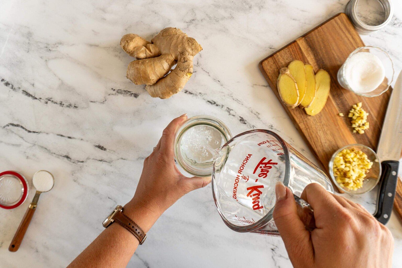 Ginger Bug 101: Everything You Need To Know | crave the good