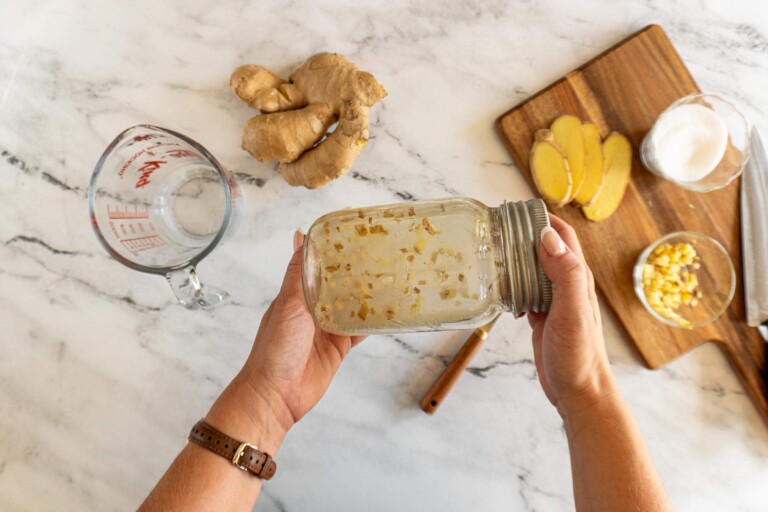 Ginger Bug 101: Everything You Need To Know | crave the good