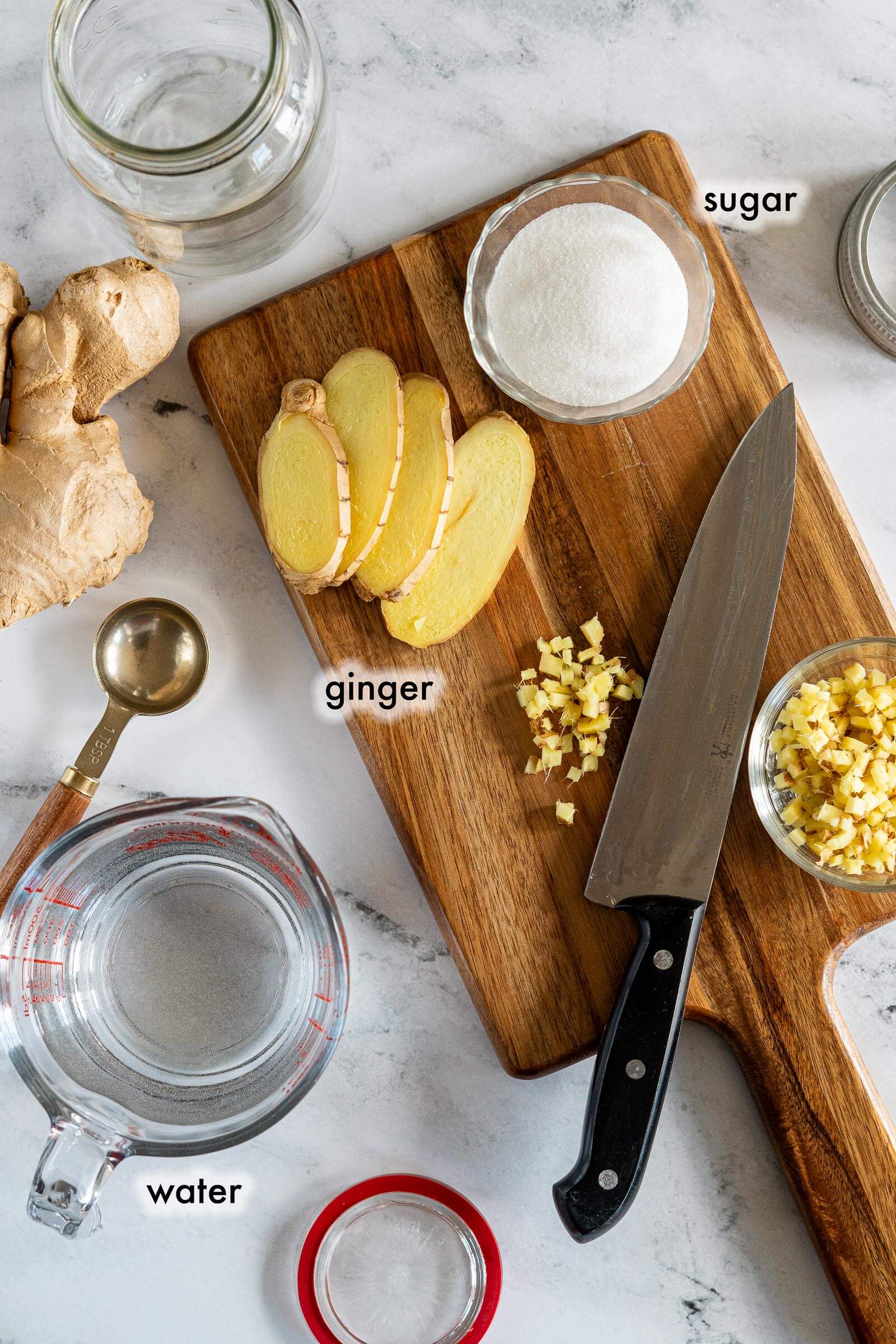 Ginger Bug 101: Everything You Need To Know | crave the good