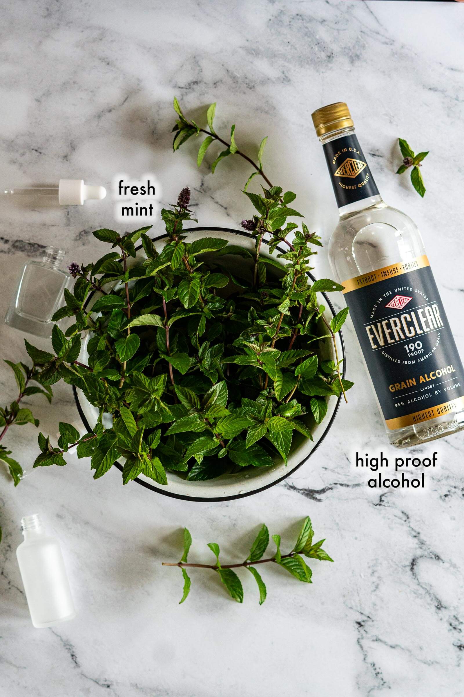 Homemade Mint Extract {Only 2 Ingredients} - Crave The Good