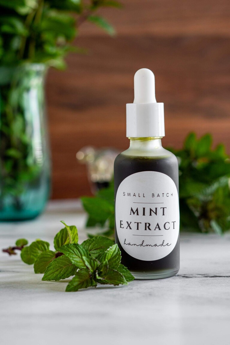 Homemade Mint Extract {Only 2 Ingredients} - Crave The Good